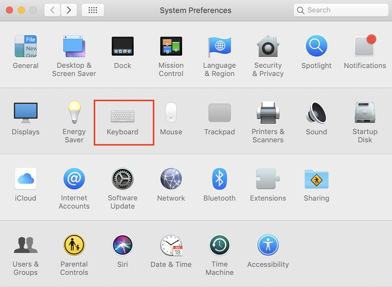 Typing Foreign Language Characters | Evia Learning
